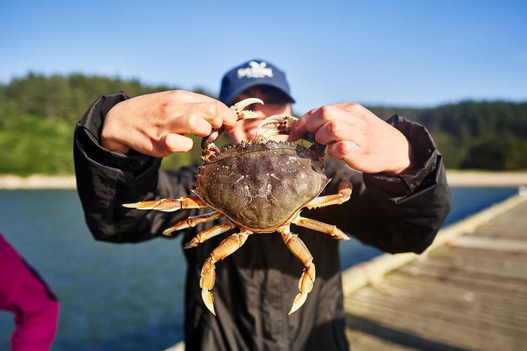 Taste The Coast - Places To Eat Or Drink Overview - Oregon Coast ...