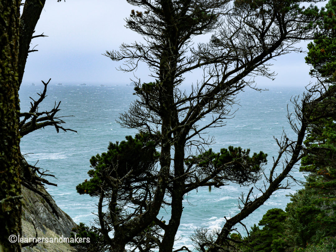 9+ reasons a Southern Oregon Coast vacation should be your next family ...