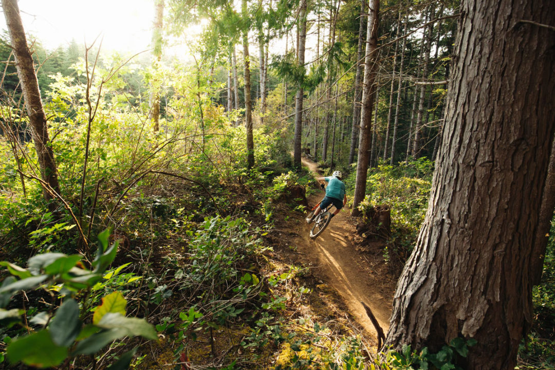 OCVA Presents the 2024 Ride the Dirt Wave Mountain Bike Event Series ...