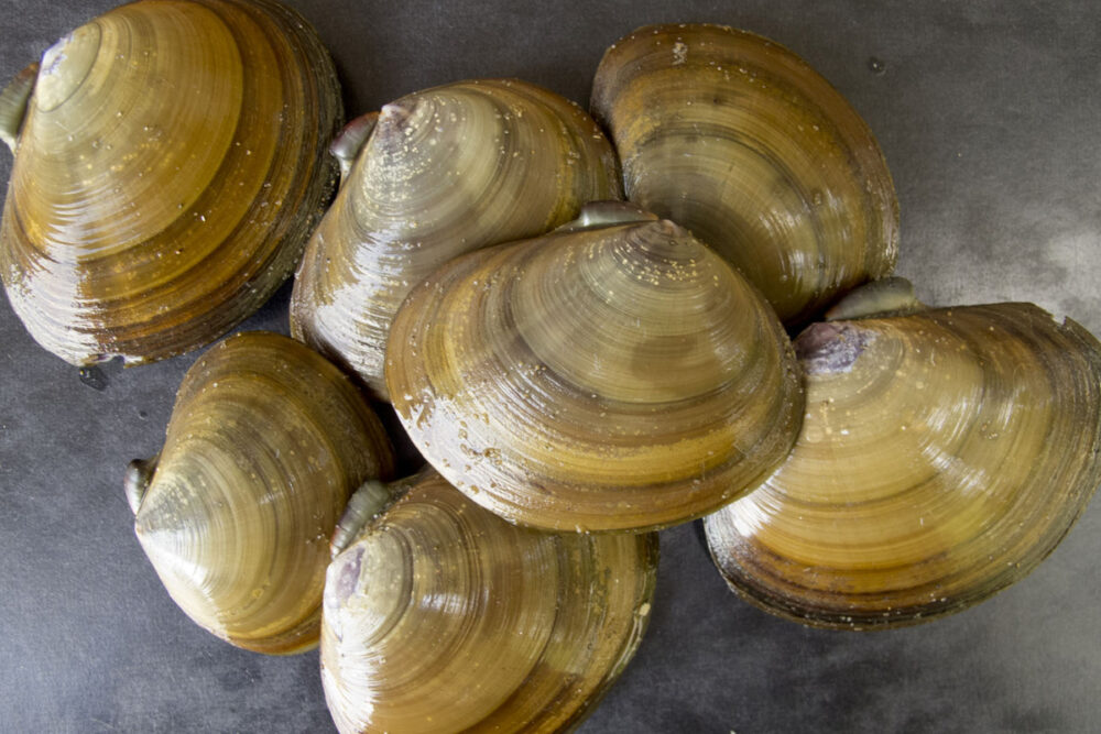 Eating Adventurously on the Oregon Coast - Oregon Coast Visitors ...