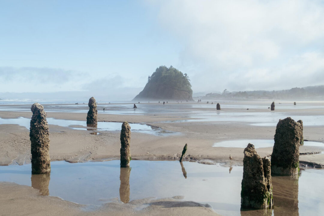 The Science of Sand - Oregon Coast Visitors Association
