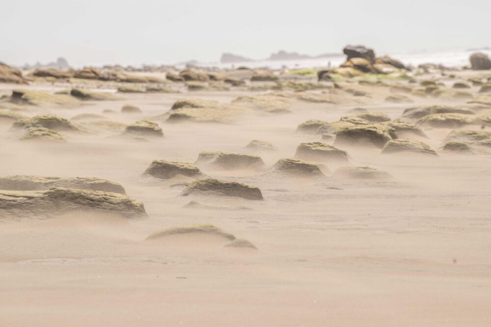The Science of Sand - Oregon Coast Visitors Association