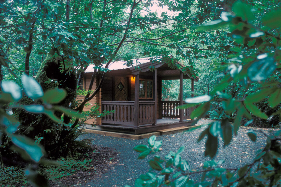 Pitch Your Tent at These Quiet Coastal Campgrounds - Oregon Coast ...