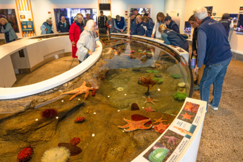 Marine Experiences Your Whole Family Will Love - Oregon Coast Visitors ...