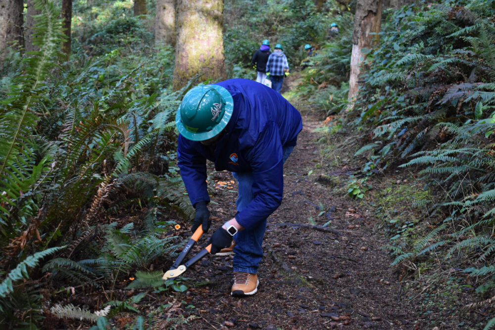 How to Keep the Oregon Coast Beautiful - Oregon Coast Visitors Association